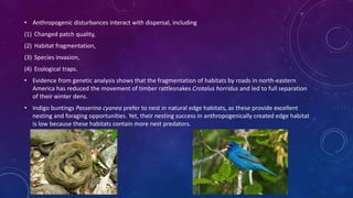 Animal behavior in changing environment | PPTX