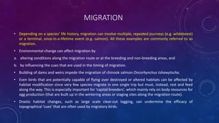 Animal behavior in changing environment | PPTX