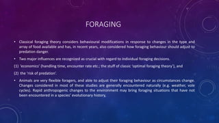 Animal behavior in changing environment | PPTX