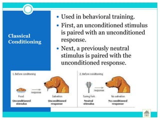 Behaviorism | PPTX