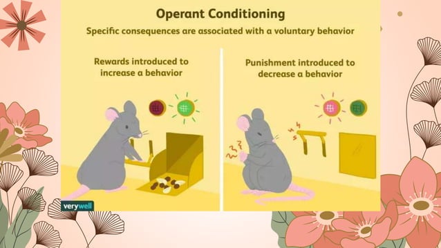 BEHAVIORISM. SOCIAL COGNITIVE THEORY PPT.pptx