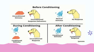 BEHAVIORISM.PPT in Facilitating Learner Centered Teaching.pptx