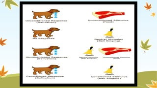 Behaviorism Learning Theory Skinner and Watson .pptx | Education