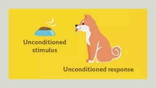 BEHAVIORISM - PAVLOVÞDIKE - CLASSICAL CONDITIONING | PDF