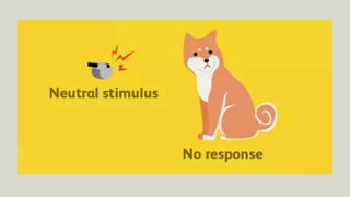 BEHAVIORISM - PAVLOVÞDIKE - CLASSICAL CONDITIONING | PDF