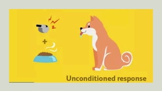 BEHAVIORISM - PAVLOVÞDIKE - CLASSICAL CONDITIONING | PDF