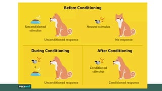 BEHAVIORISM - PAVLOVÞDIKE - CLASSICAL CONDITIONING | PDF