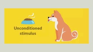 BEHAVIORISM - PAVLOVÞDIKE - CLASSICAL CONDITIONING | PDF