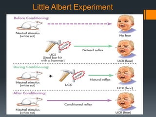 John B Watson Experiments