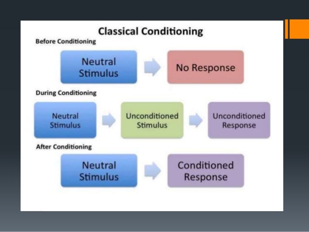 Behaviorism (john b watson)