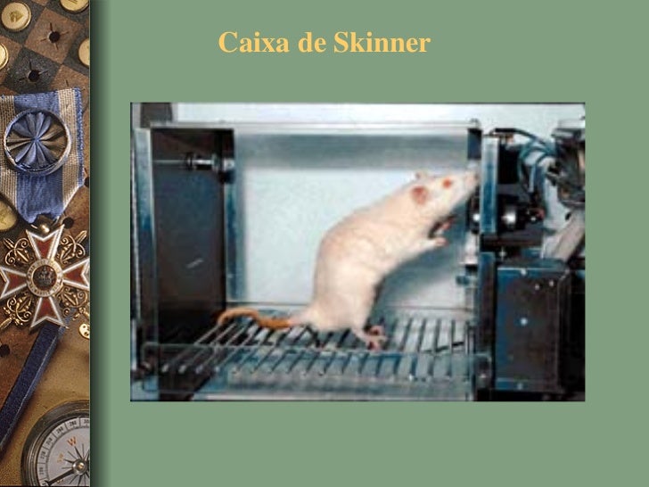Behaviorismo