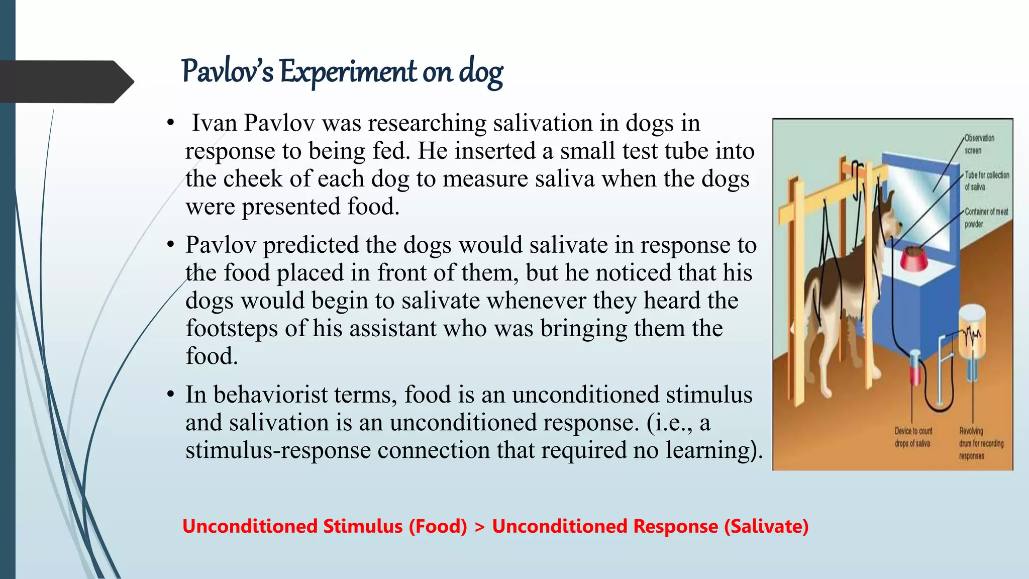 BEHAVIORISM ppt.pptx