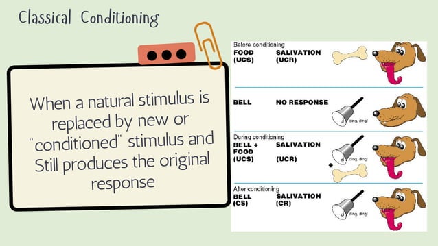 Behaviorism Presentation.pdf