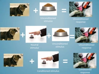 Behaviorism presentation upload | PPT