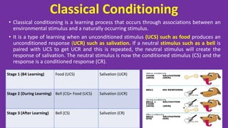 Behaviorism school of thought in psychology | PPTX