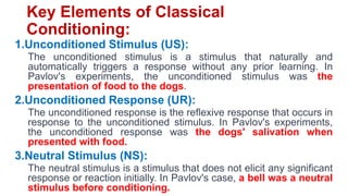 Behavioristic Approach to Learning.pptx