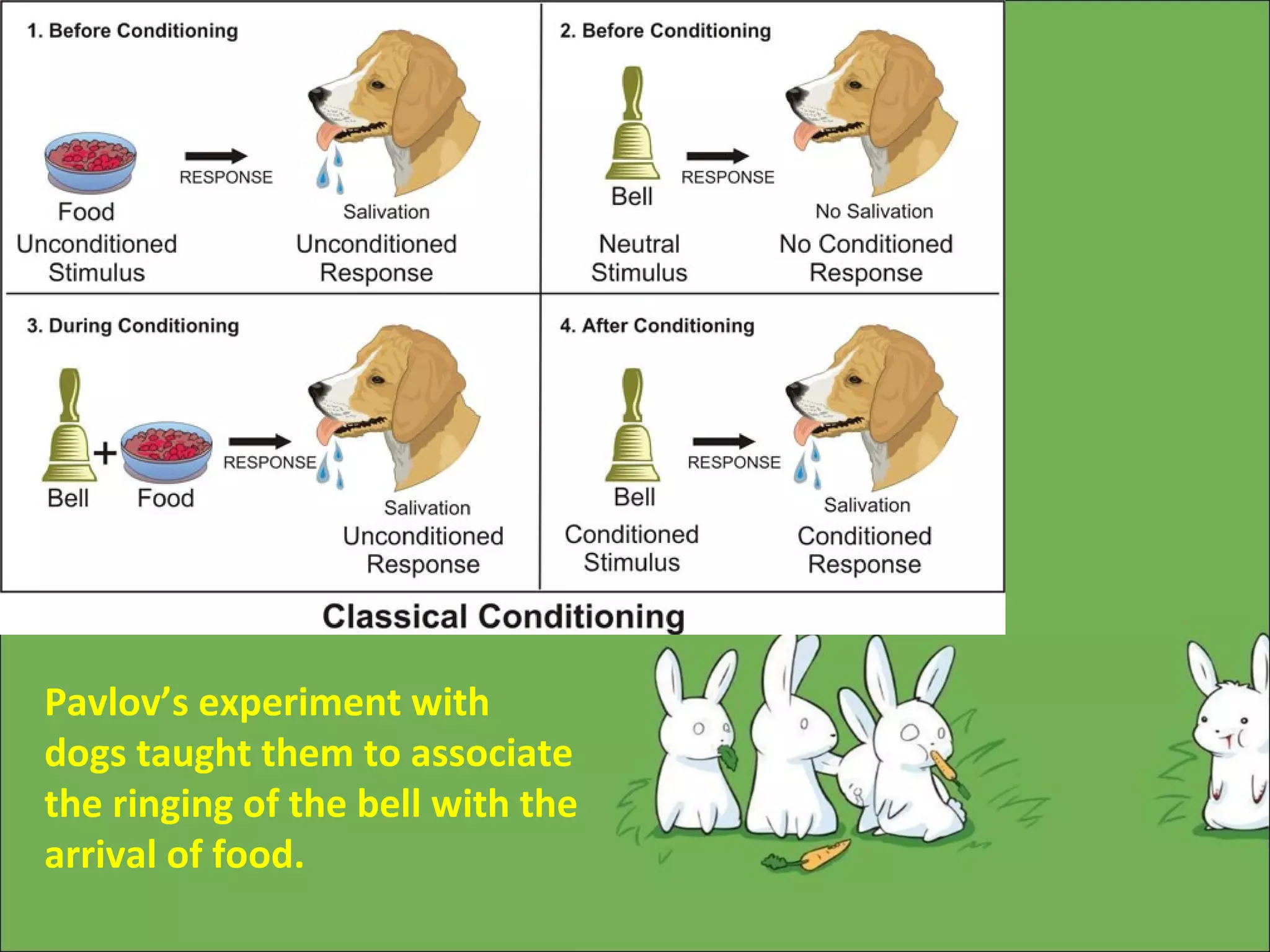 Behaviorist learning theories | PPT