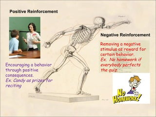 Behaviorist learning theories | PPT