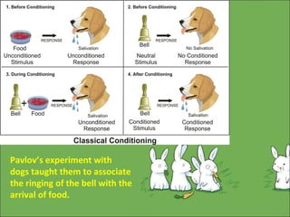 Behaviorist learning theories | PPT