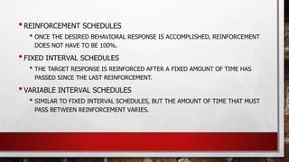 Behaviorist perspective report | PPTX