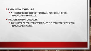 Behaviorist perspective report | PPTX