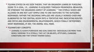 Behaviorist perspective report | PPTX