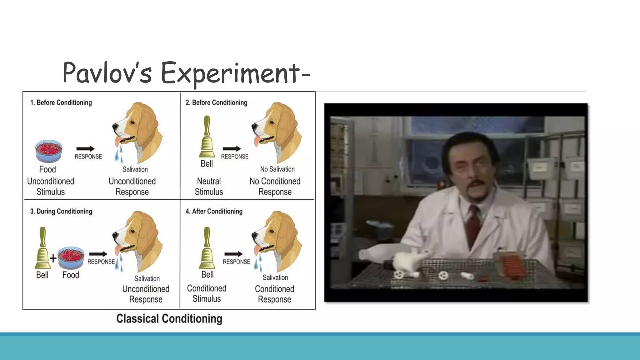 Behaviorist Theory by Pavlov and Skinner.pptx