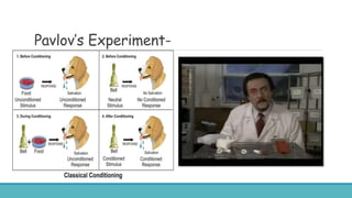 Behaviorist Theory by Pavlov and Skinner.pptx