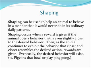 Behaviorist Theory Presentation | PPT