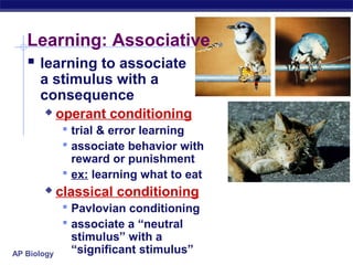 Behavior lecture 2013 | PPT