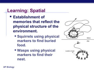 Behavior lecture 2013 | PPT