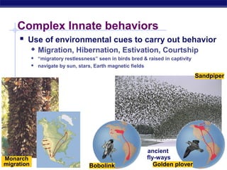 Behavior lecture 2013 | PPT | Birdwatching | Hobbies & Interests
