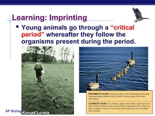 Behavior lecture 2013 | PPT