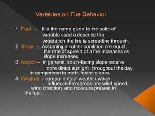 Behavior of Fire.pptx