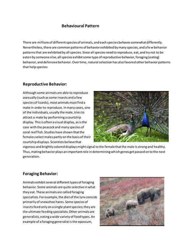 Behavior pattern of animals | DOC | Reptiles | Pets