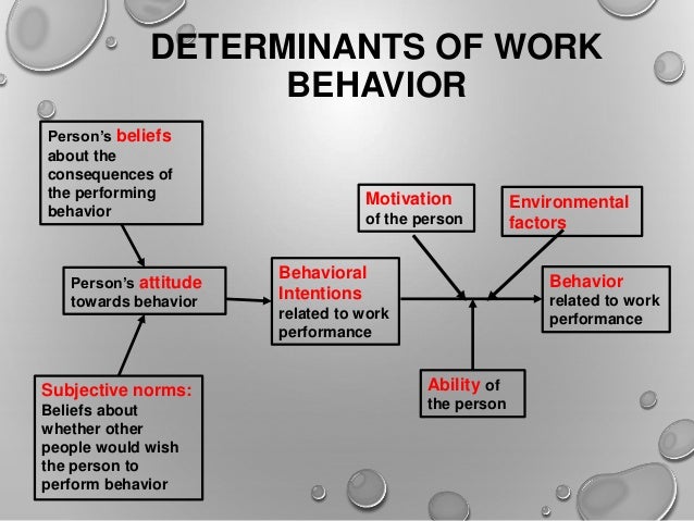 Conceptual framework for Behavior & performance