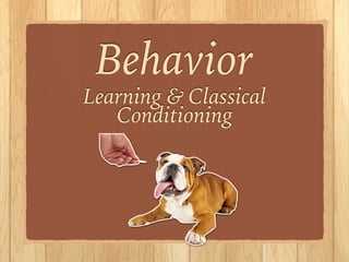 Behavior, Learning, Classical Conditioning | PPT