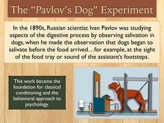 Behavior, Learning, Classical Conditioning | PPT