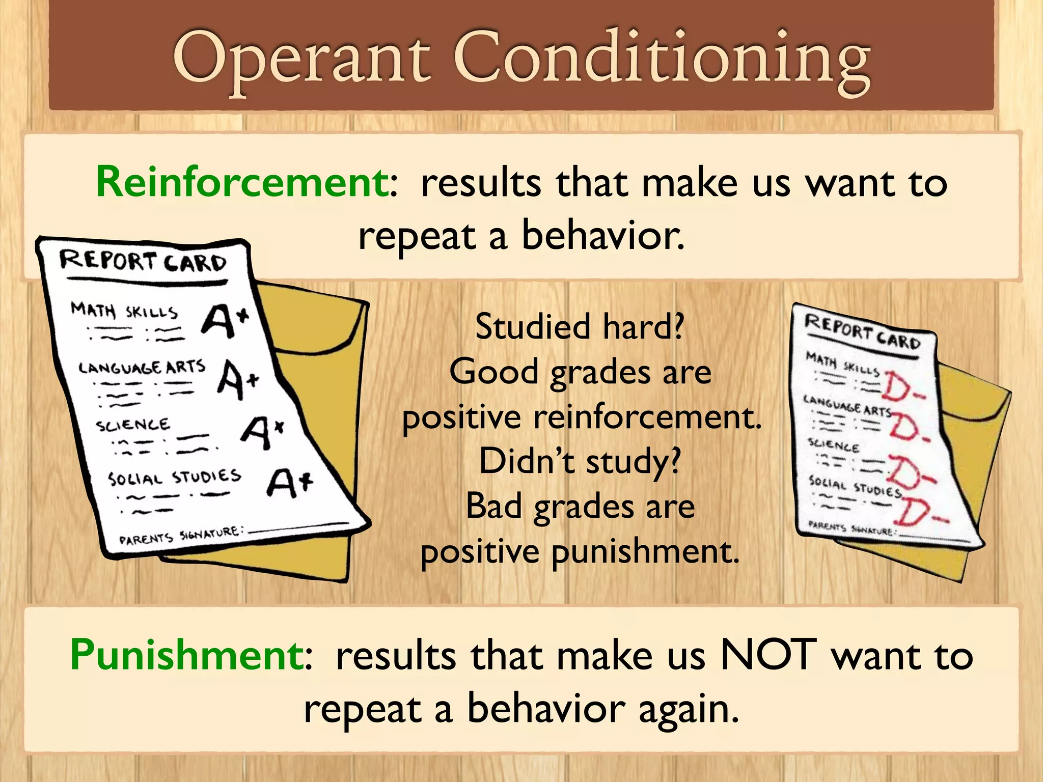 Operant Conditioning | PDF