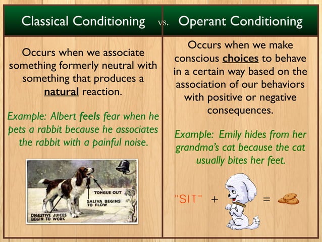 Operant Conditioning | PPT