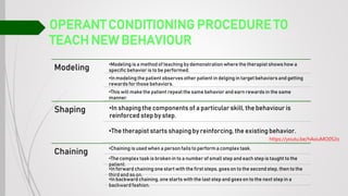 behavior therapy.pptx