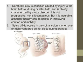 behavioural-sciences.ppt
