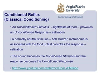 presentation of Behavioural-theories-powerpoint.ppt