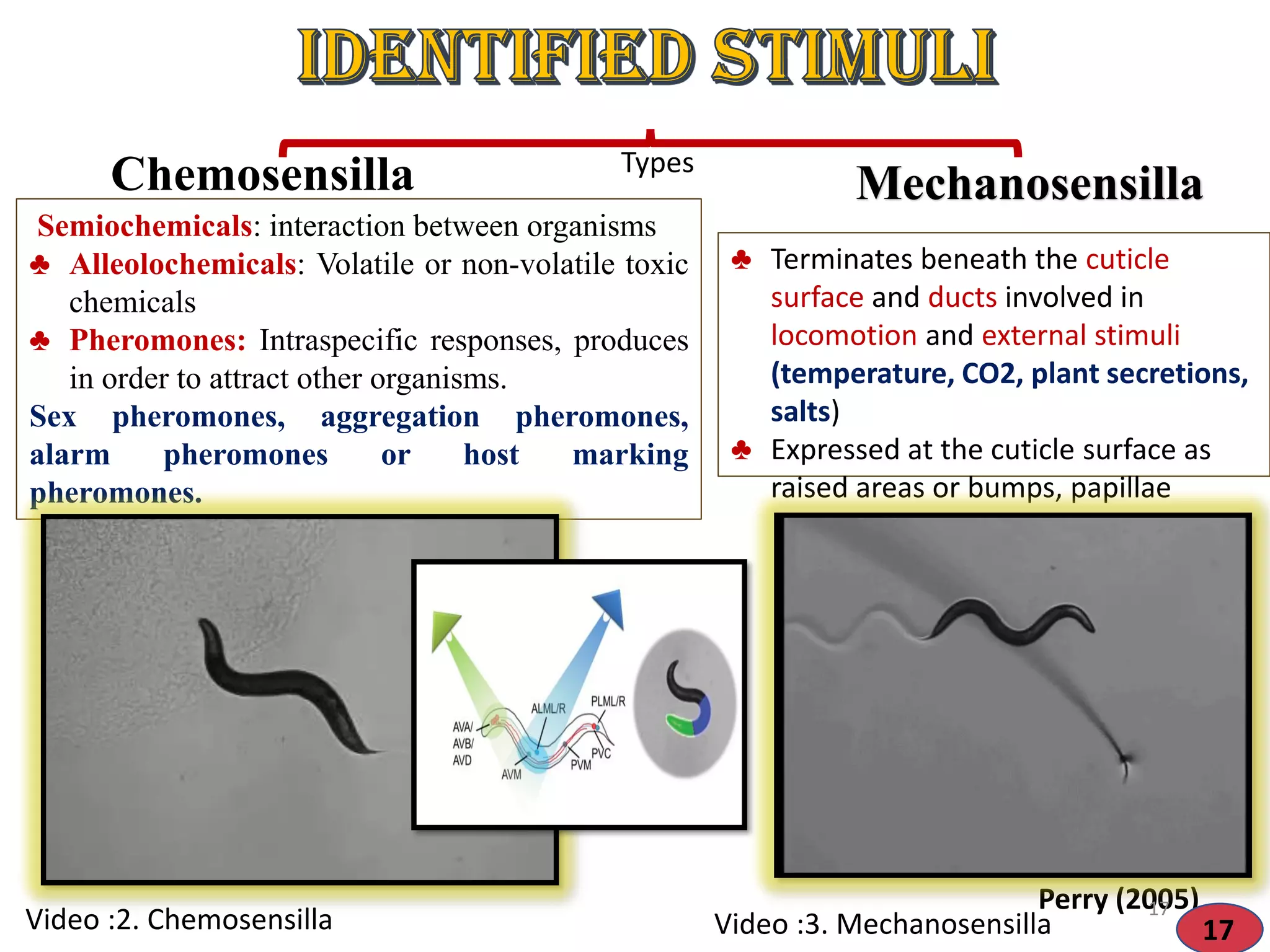 Behavioural analysis of nematode movement | PDF
