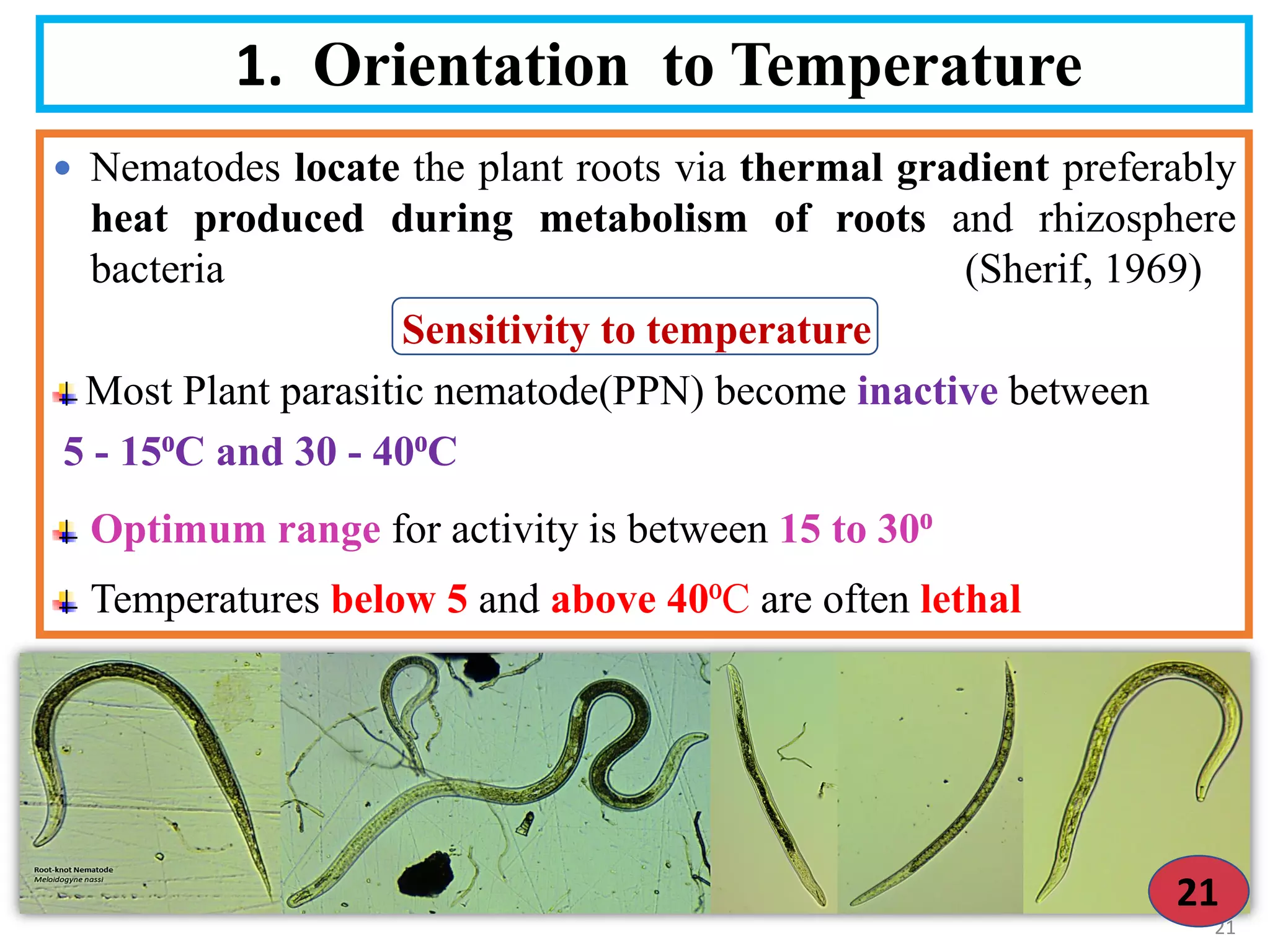 Behavioural analysis of nematode movement | PDF