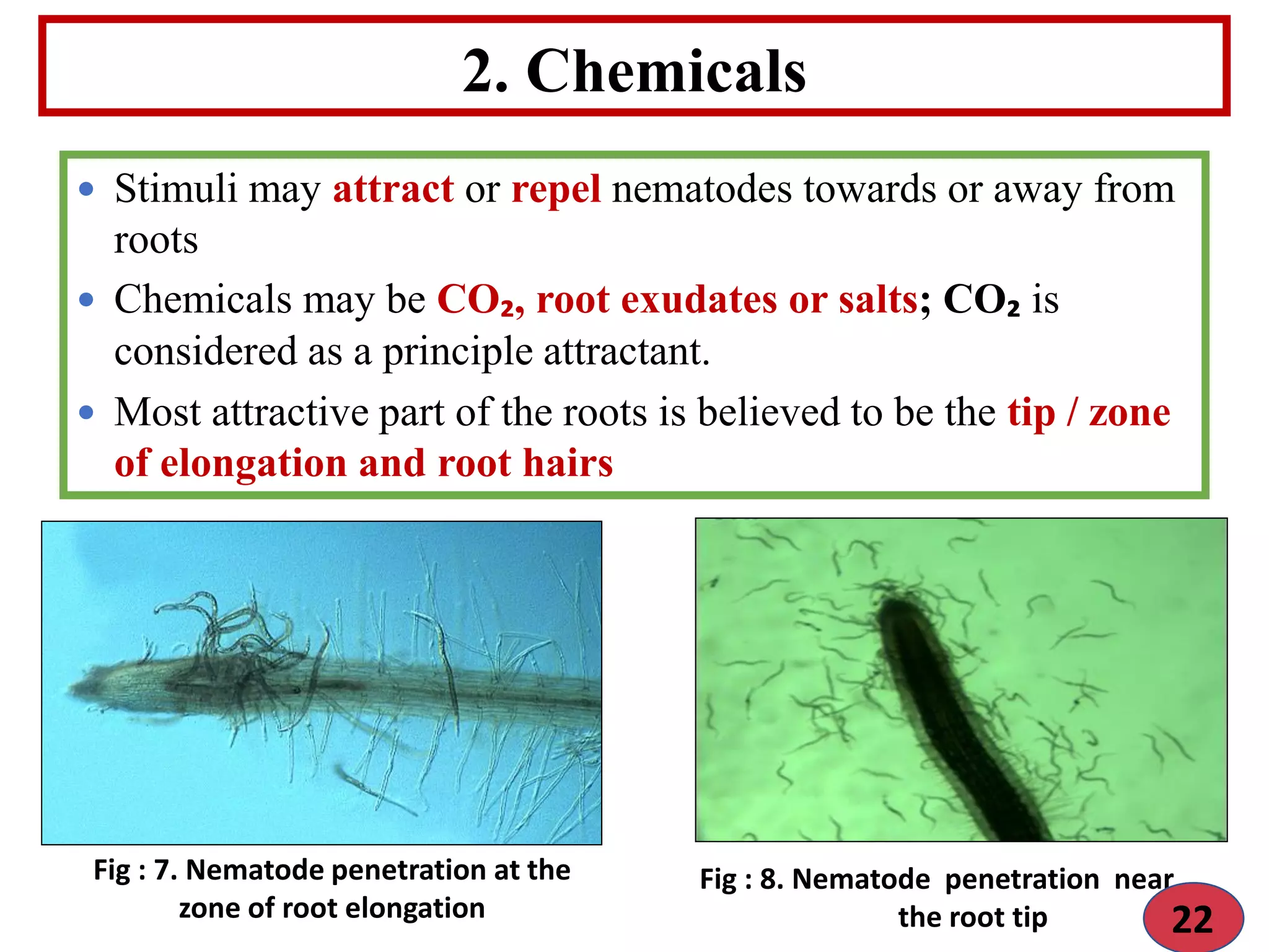 Behavioural analysis of nematode movement | PDF