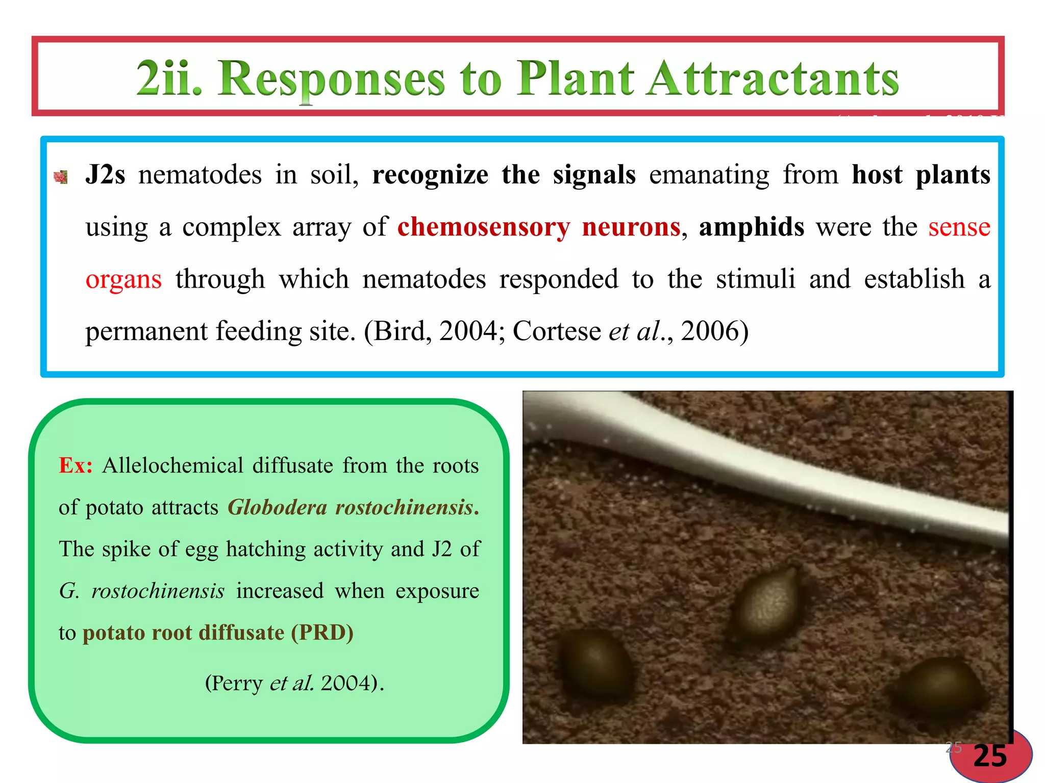 Behavioural analysis of nematode movement | PDF