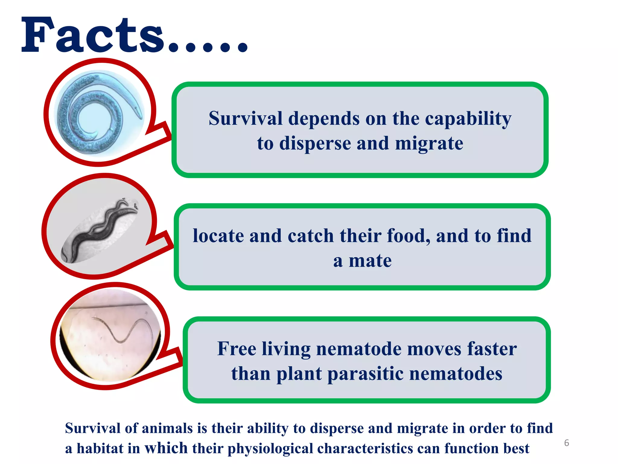 Behavioural analysis of nematode movement | PDF