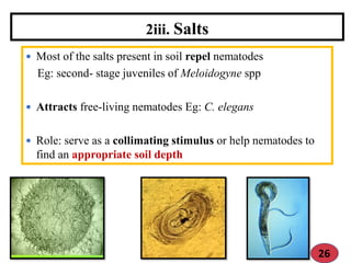Behavioural analysis of nematode movement | PDF