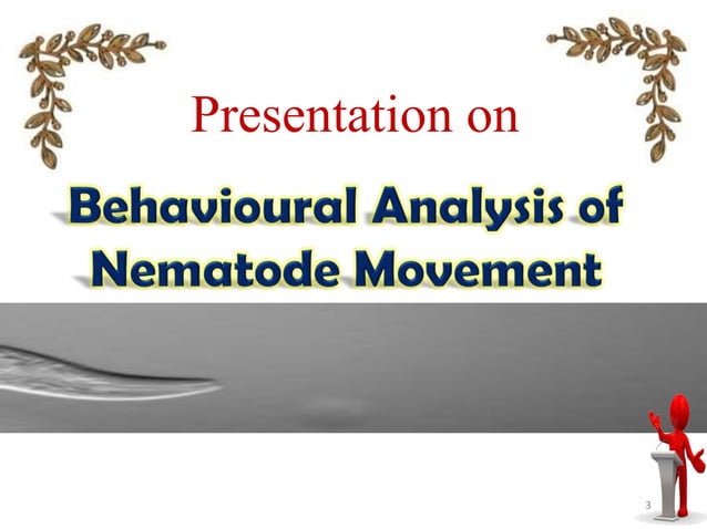 Behavioural analysis of nematode movement | PDF